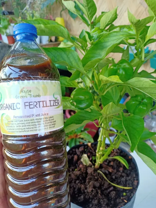 FFJ, FPJ, FAA 1000ml PURE Organic | Lazada PH