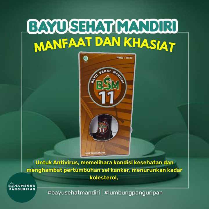 Bayu sehat mandiri BSM 11 | Lazada Indonesia