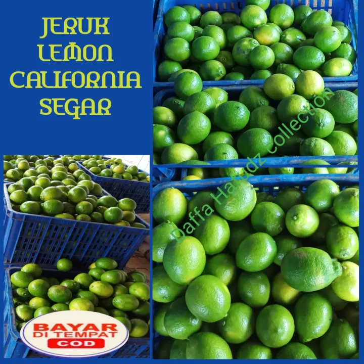 Promo Jeruk Lemon California hijau segar 1kg | Lazada Indonesia
