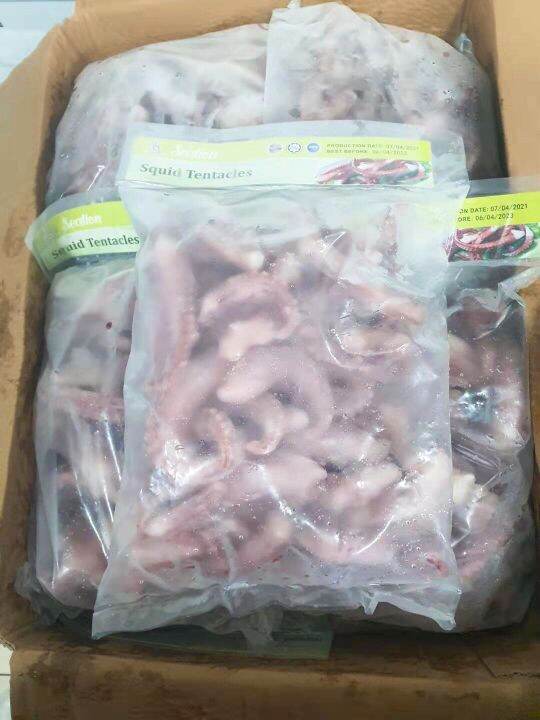 PREMIUM TAKO LEG SOUTH AMERICA SQUID TENTACLE SQUID ARM 1KG YAYA ONLINE ...