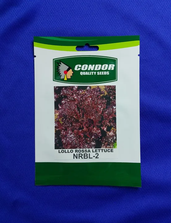 NRBL-2 Lollo Rosa Lettuce (1 gram) by Condor | Lazada PH