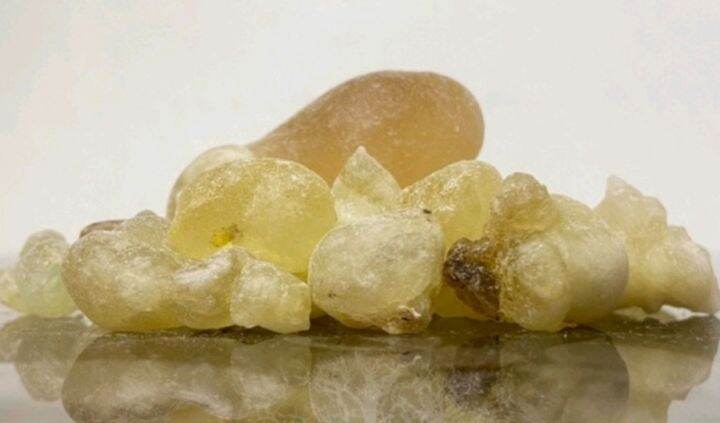 Luban Royal FRANKINCENSE 100g . Asli Kemenyan arab raw frankincese pure dari Oman | Lazada