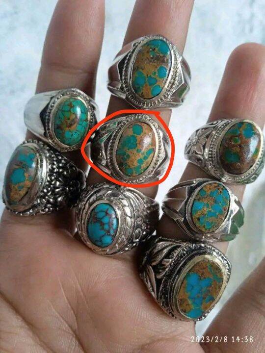 pirus persia | Lazada Indonesia