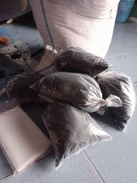 Media Tanam Abu hitam/Abu blotong limbah pabrik gula penyubur produktif ...