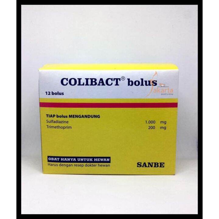 COLIBACT BOLUS- OBAT DIARE KAMBING DAN SAPI | Lazada Indonesia