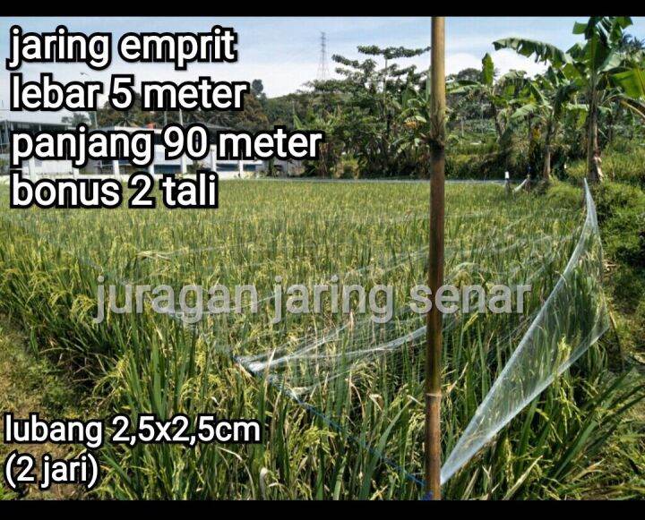 JARING BURUNG, JARING PADI, JARING EMPRIT LEBAR 5 PANJANG 90 METER ...