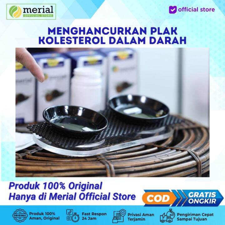 Merial Red Pine Korea Original - 1 Box Atasi Kolesterol dan Hipertensi ...