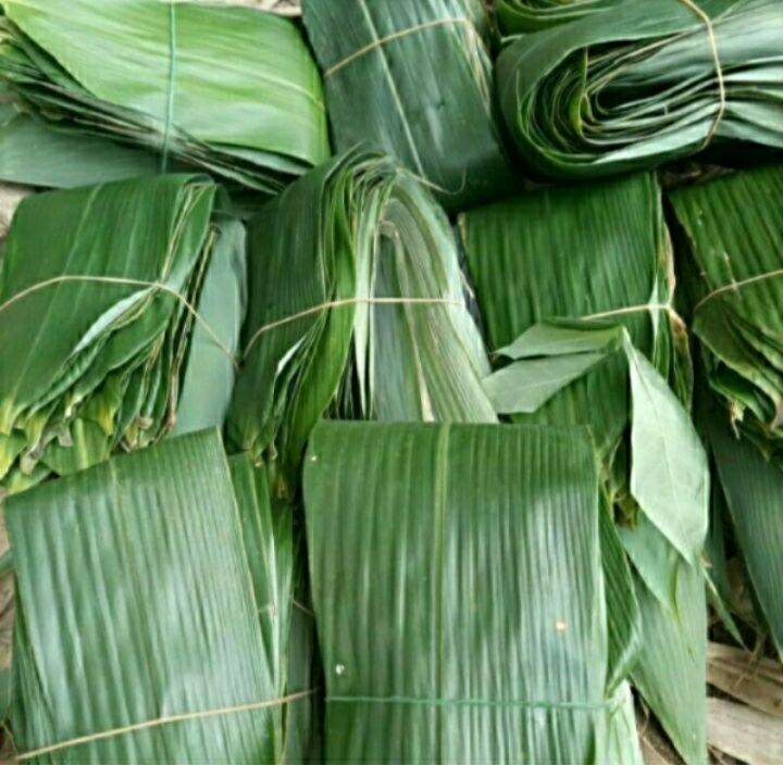 DAUN BAMBU BUNGKUS BAKCANG PERIKAT 10 LEMBAR | Lazada Indonesia