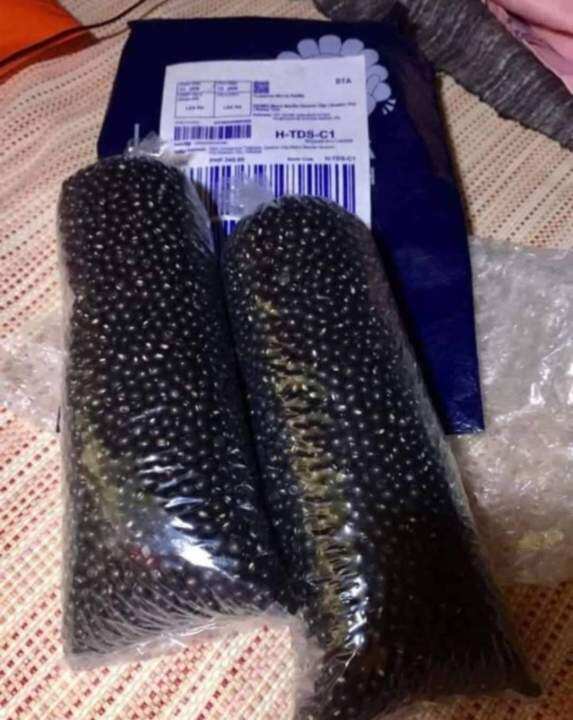 KADYOS (PEGIONS BEANS) 500grams | Lazada PH