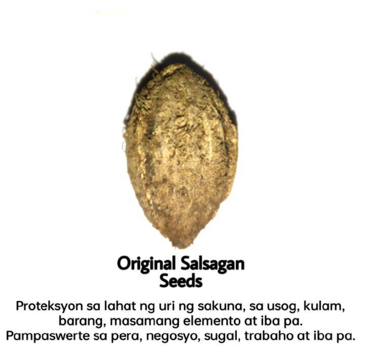 Original Salsagan-swerte sa pera,negosyo,sugal | Lazada PH