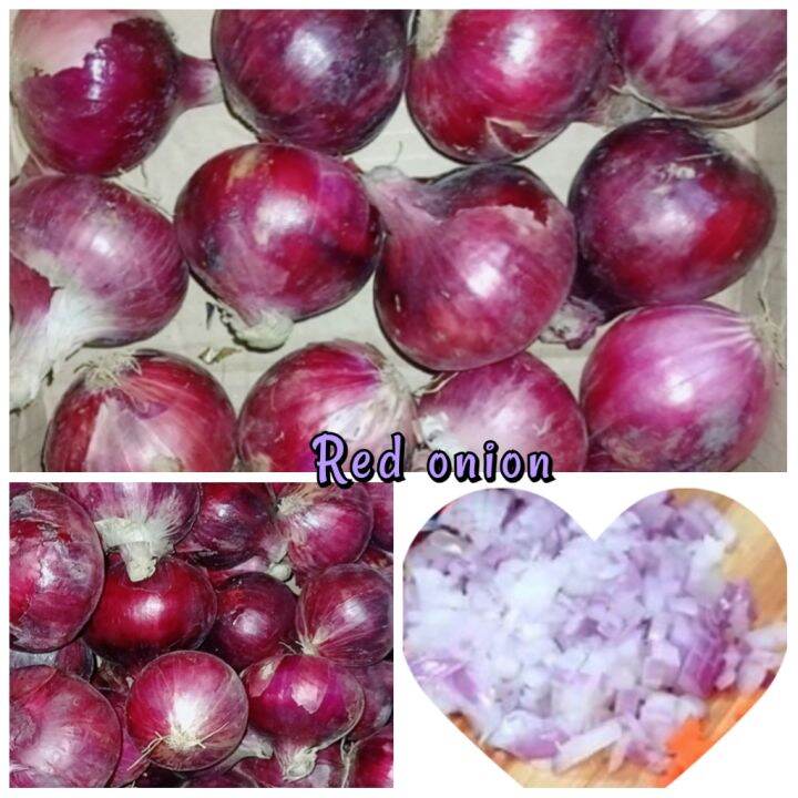 Onion Red / Sibuyas na pula 250grams - 1kilo | Lazada PH