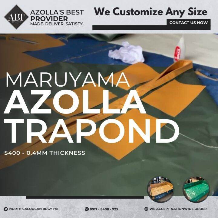 4x6x1ft S200 One Piece High Quality Azolla Bed & Fish Ponds. Original ...