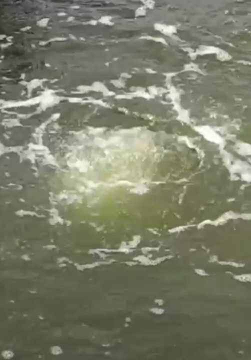 fine bubble diffuser 8 inch aerasi kolam bioflok | Lazada Indonesia