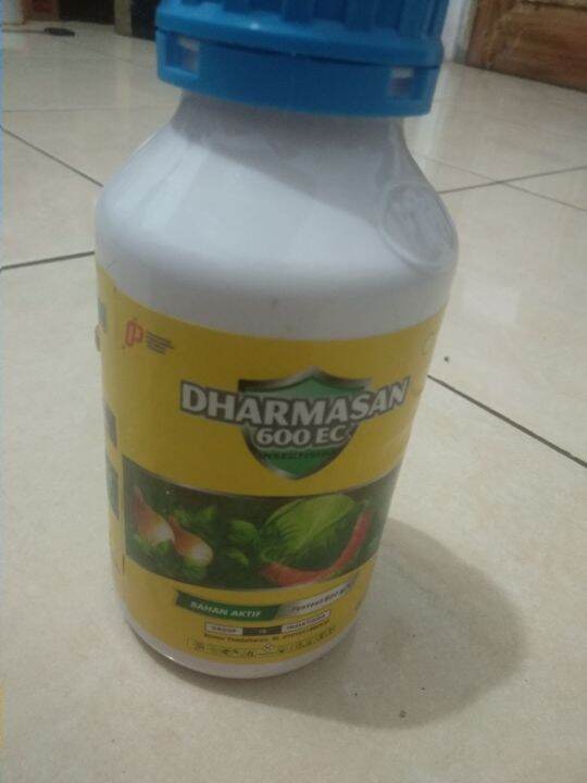 insektisida racun hama DHARMASAN 600EC 500ml | Lazada Indonesia