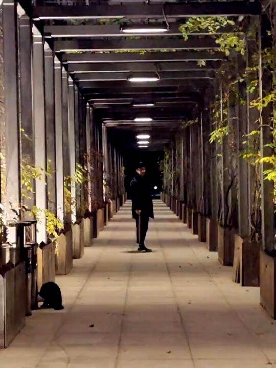 Magic Cane Stick Pocket Wand Extendable Rod Portable Pole Magician ...