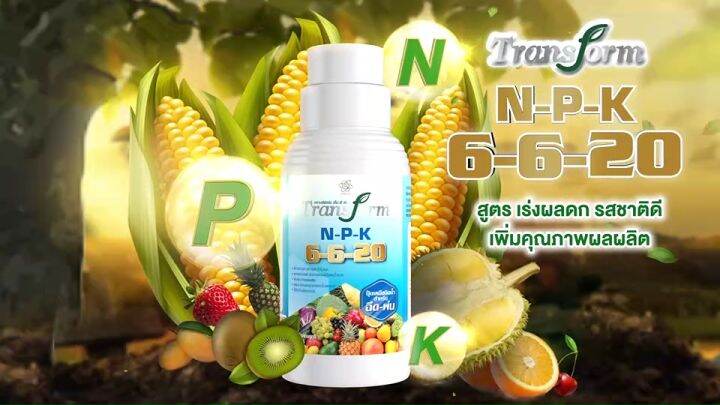 Transform NPK ธาตุอาหารหลักสำหรับพืช ไนโตรเจน ฟอสฟอรัส โพแทสเซียม สูตร 6-6-20 สูตรตาดอก สร้างผล ...