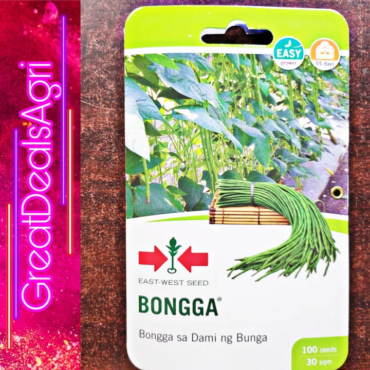 BONGGA POLE SITAO SEEDS (100 SEEDS) EAST WEST SEEDS | Lazada PH