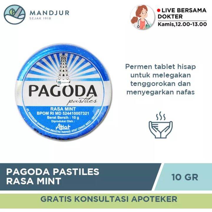 Pagoda Pastiles Rasa Mint 10 Gram - Obat Pelega Tenggorokan | Lazada ...