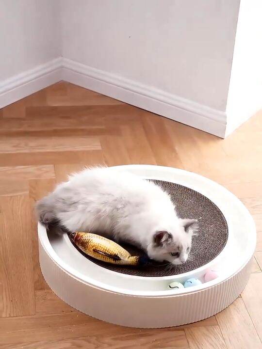 Walker Edison Cat Scratch Board Cat Bed Cat Toy Cat Scratchers With ...