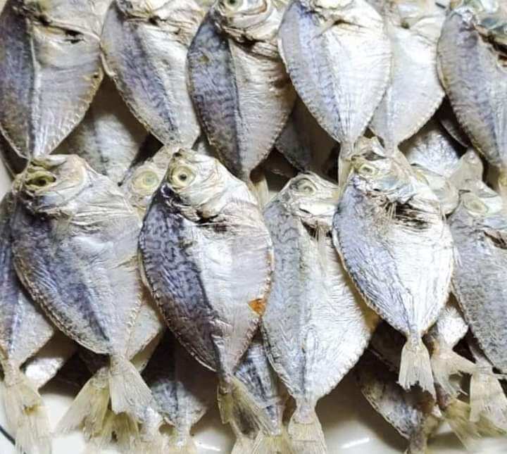 SAPSAP DRIED FISH 1/2 KILO | Lazada PH