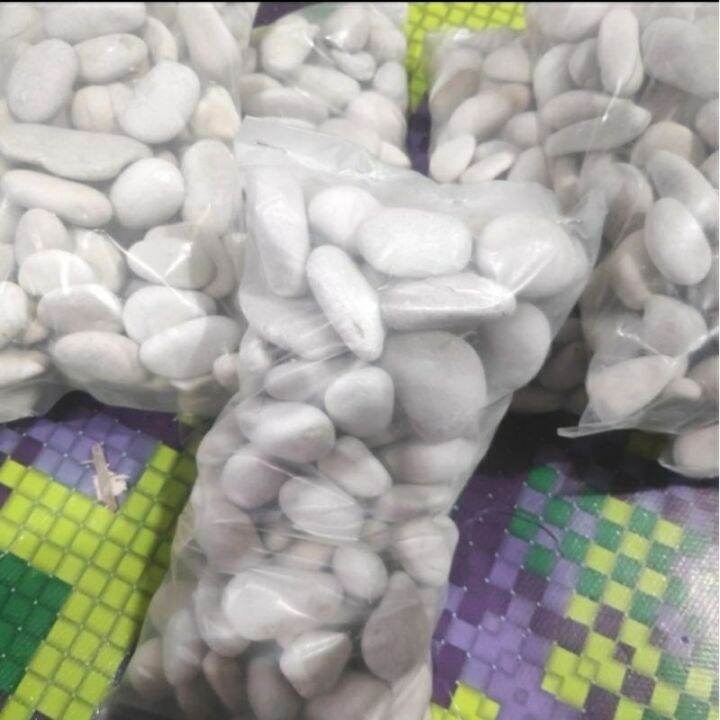 Batu kupang batu koral putih aquarium 1kg | Lazada Indonesia