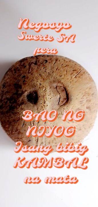 BAO NG NIYOG ISANG BIBIG KAMBAL NA MATA | Lazada PH