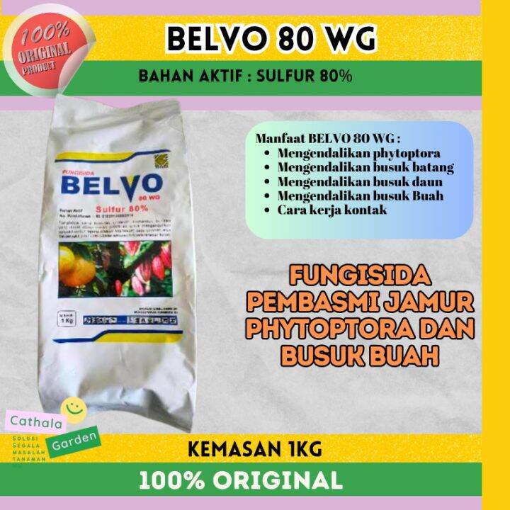 BELVO 80 WG & SULFATRIX 80 WP KEMASAN 1 KG | FUNGISIDA SULFUR 80% ...