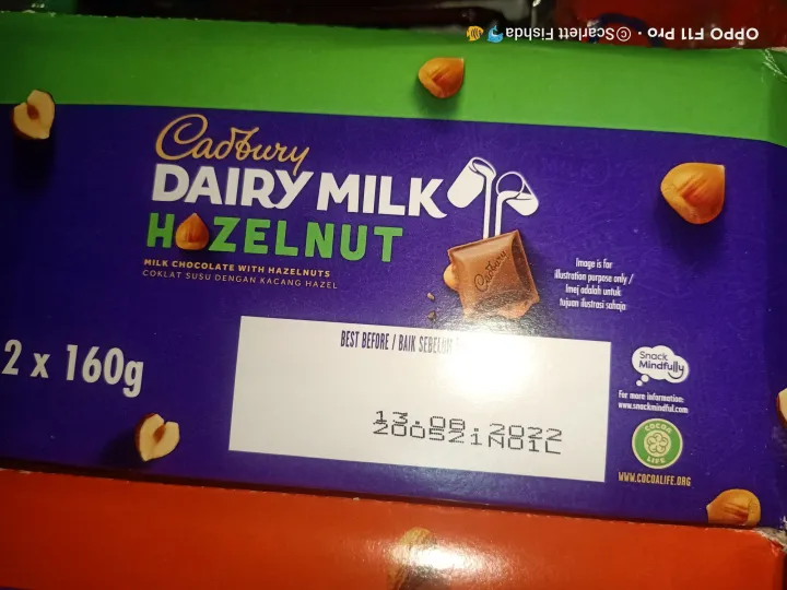 Cadbury Dairy Milk hazelnut 160g | Lazada PH