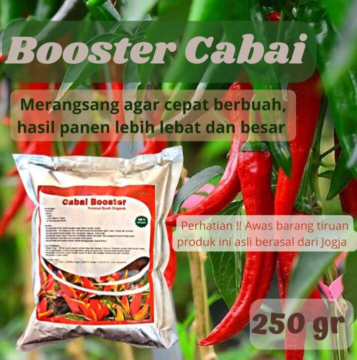 Pupuk organik booster cabai penyubur dan pelebat cabe rawit , merah , hijau ,perangsang pemicu ...
