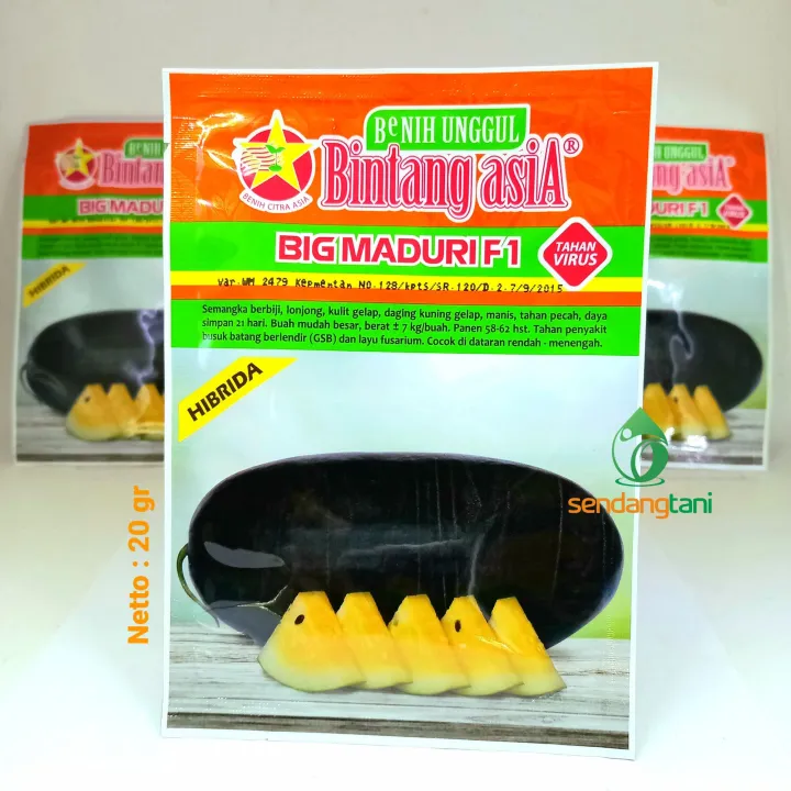 Semangka BIG MADURI F1 20 gr Benih Bibit Semangka Lonjong Inul Kuning ...