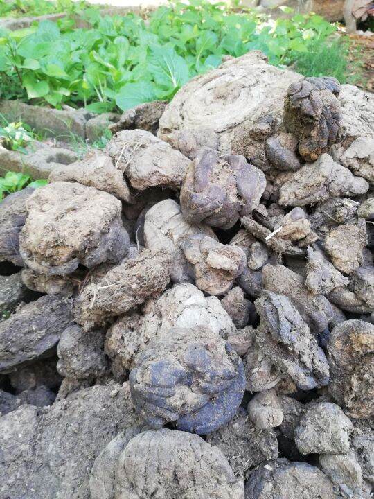 Dried cow and Carabao Manure Organic Fertilizer 2kg | Lazada PH
