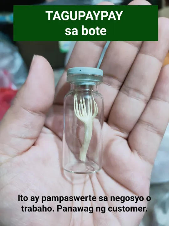 Tagupaypay sa Bote Charm | Panawag Customer | Lazada PH