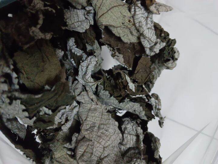 Dry Ramie Leaf (100g) 粗叶干（100克） | Lazada