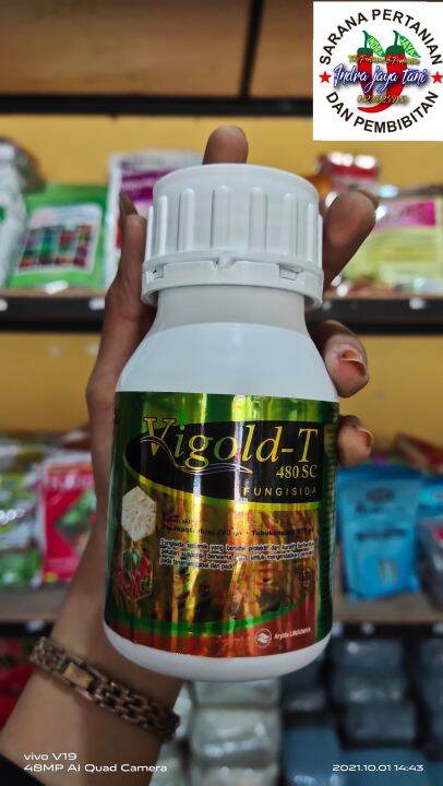 FUNGISIDA VIGOLD-T 480SC 250ml | Lazada Indonesia