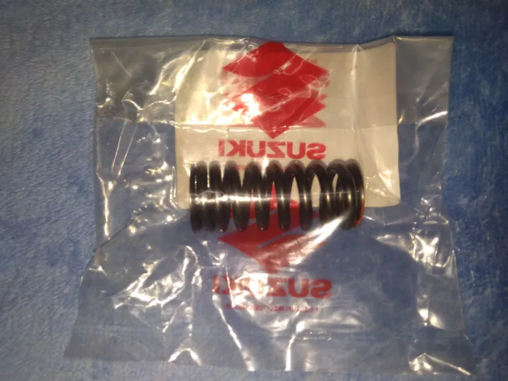 RAIDER 150 FI SGP VALVE SPRING / SUITABLE FOR RAIDER 150 CARB | Lazada PH