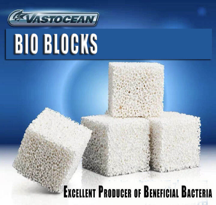 Vastocean Bio Block | Lazada PH
