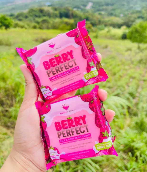 Berry Perfect Strawberry Bar Soap by Perfect Formula | Lazada PH