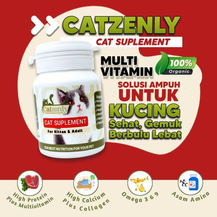 Catzenly Vitamin Kucing Nutrisi Lengkap Penambah Berat Badan ...