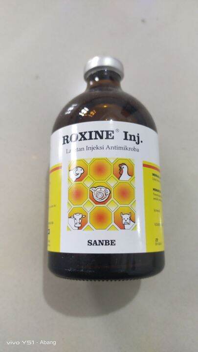 Sanbe Roxine Injeksi 100 ml Larutan injeksi antimikroba | Lazada Indonesia