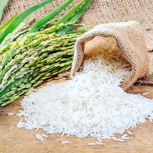 BERAS C4 RAJA DELANGGU FRESH LANGSUNG DARI PETANI (1 KG) | Lazada Indonesia