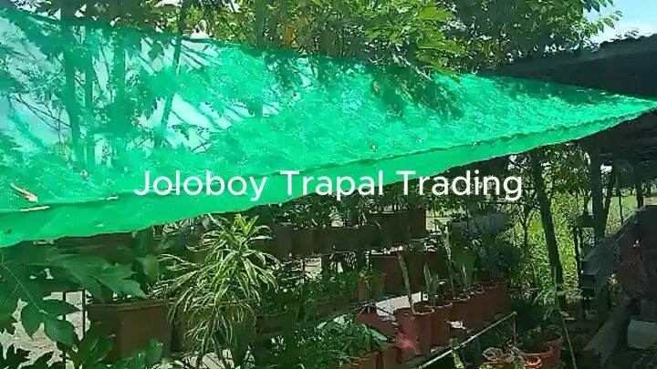 PER YARD (4feet height) PALAY SCREEN FARM GARDEN GREENHOUSE NET | Lazada PH
