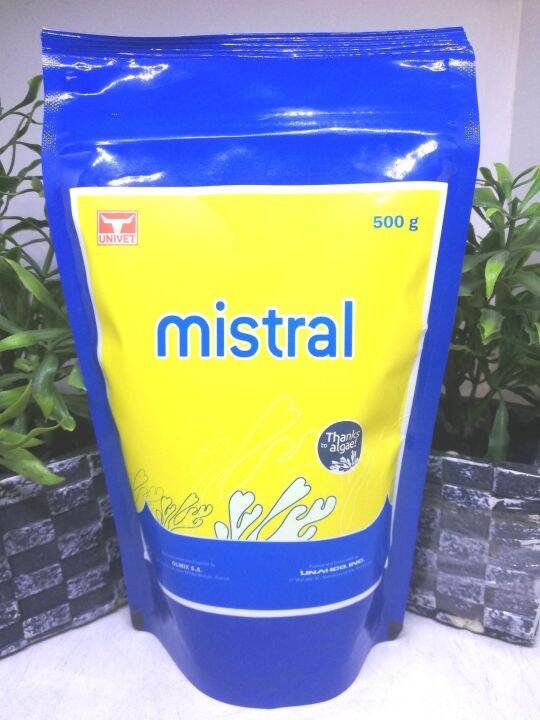 Mistral Drying Powder 500g | Lazada PH