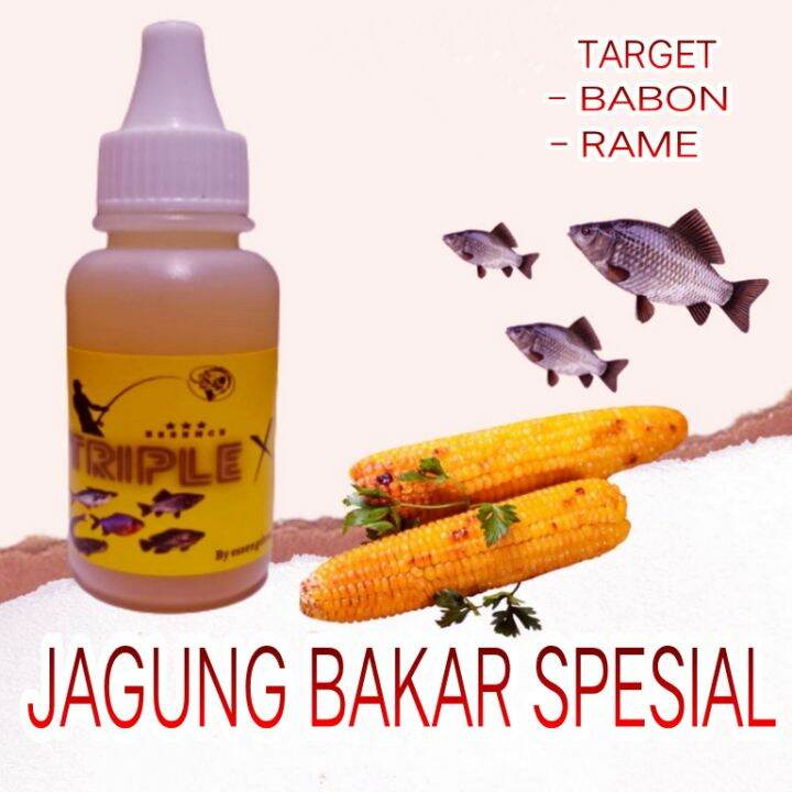 Essen oplosan JAGUNG BAKAR SPESIAL Triple x essence ikan mas untuk ...
