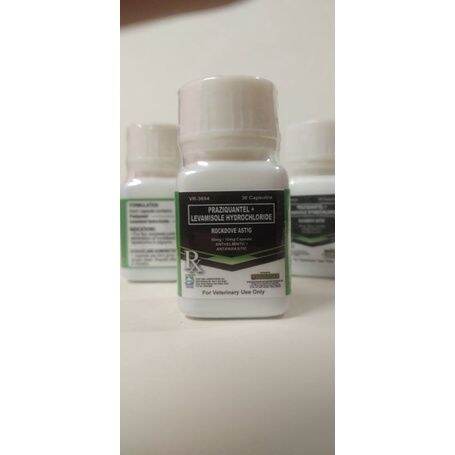 Rockdove Astig 30 caps by Excellence for Pigeons | Lazada PH