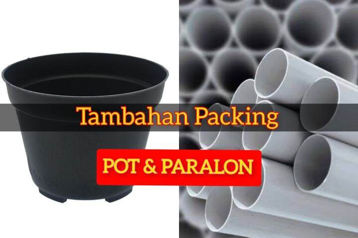Tambahan Packing Mengunakan POT & PARALON | Lazada Indonesia
