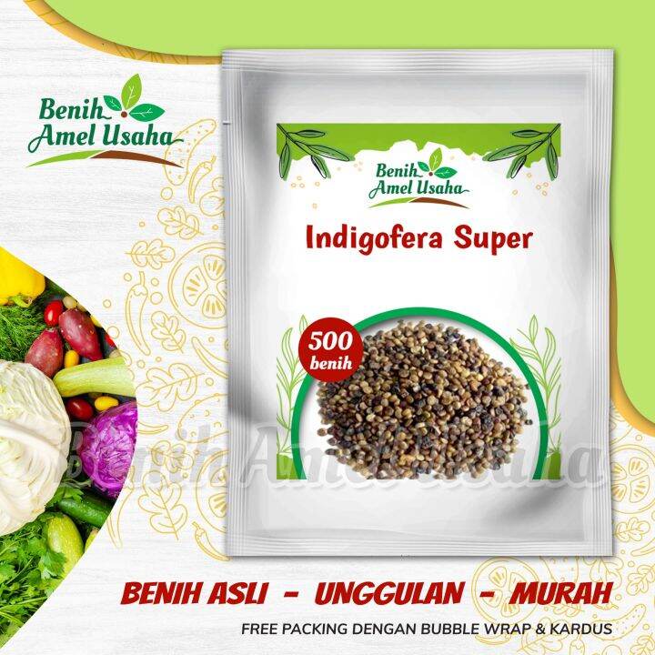 benih indigofera super isi 500 biji / bibit benih pakan ternak sapi ...