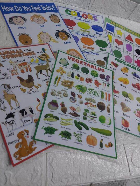 LAMINATED LEARNING CHARTS A4 SIZE | Lazada PH