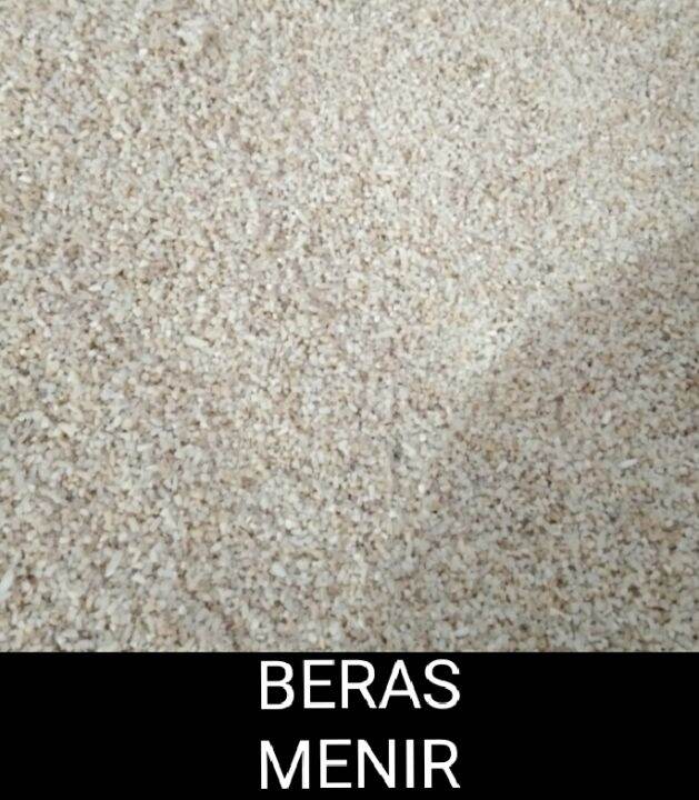 beras menir untuk pakan ternak (isi 250 gram) | Lazada Indonesia