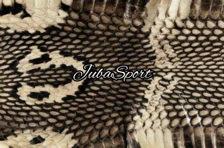 Stiker sisik ular cobra 50x50cm | Lazada Indonesia