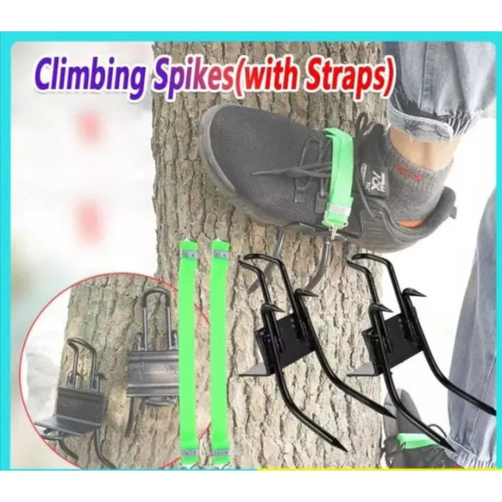 alat bantu panjat pohon | Lazada Indonesia